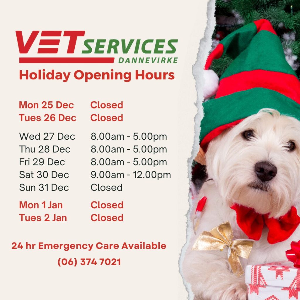 Merry Christmas from Vet Services Dannevirke – Vet Services Dannevirke