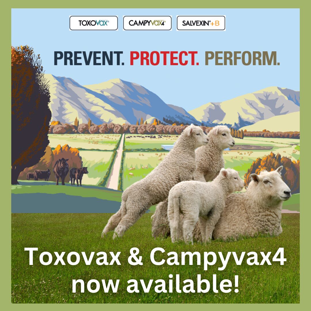 Sheep Performance Vaccine Order Form – Vet Services Dannevirke